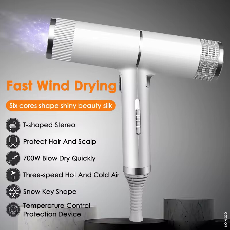 2500W Hair Dryer Blower Professional Negative Ionic Blow Fan Styler ...