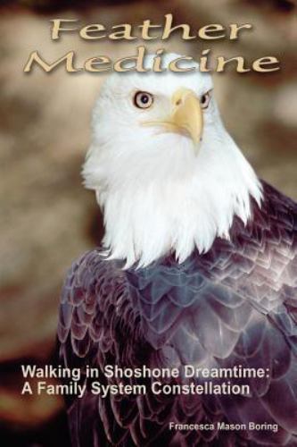 Feather Medicine : Walking in Shoshone Dreamtime: A Family System ...