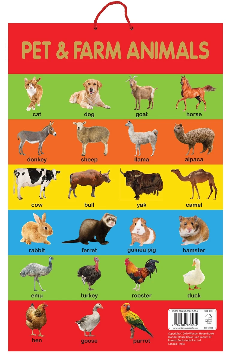 Real Farm Animals Pictures Chart