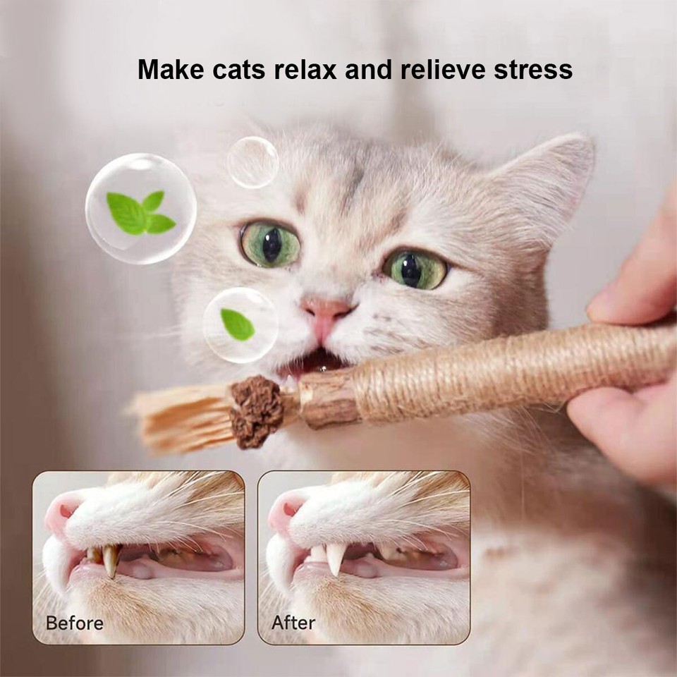 Catnip cat Sticks 6X Natural Matatabi Silvervine Sticks Chew Toy Teeth ...