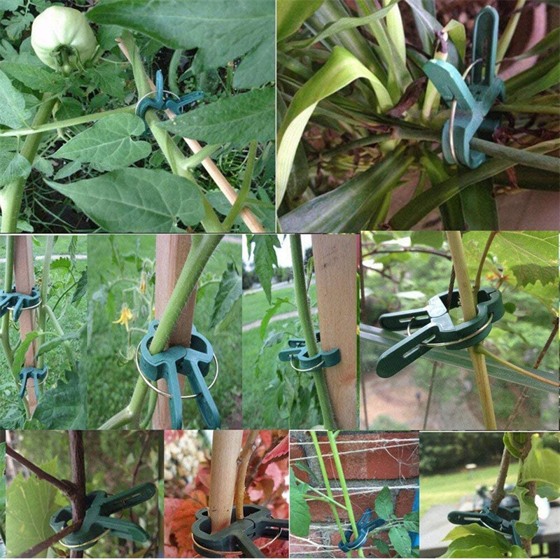 100PC LARGE PLANT & GARDEN CLIPS Support Tomato Vegetable Trellis Twine ...