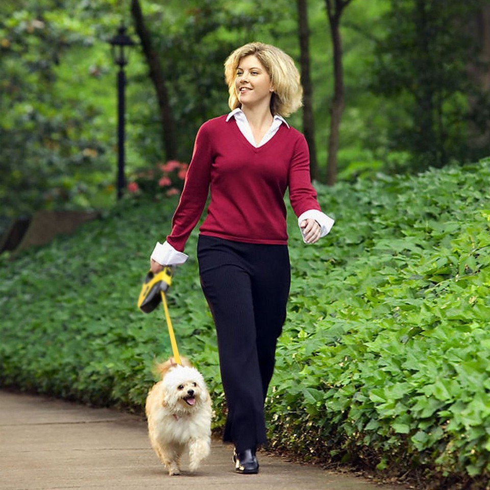 Dog Leash Retractable Walking Collar For Small Pet with Lock Nylon 10 ...