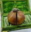 German Mouse and Bun Mechanical Candy Container Original Antique Rare ...
