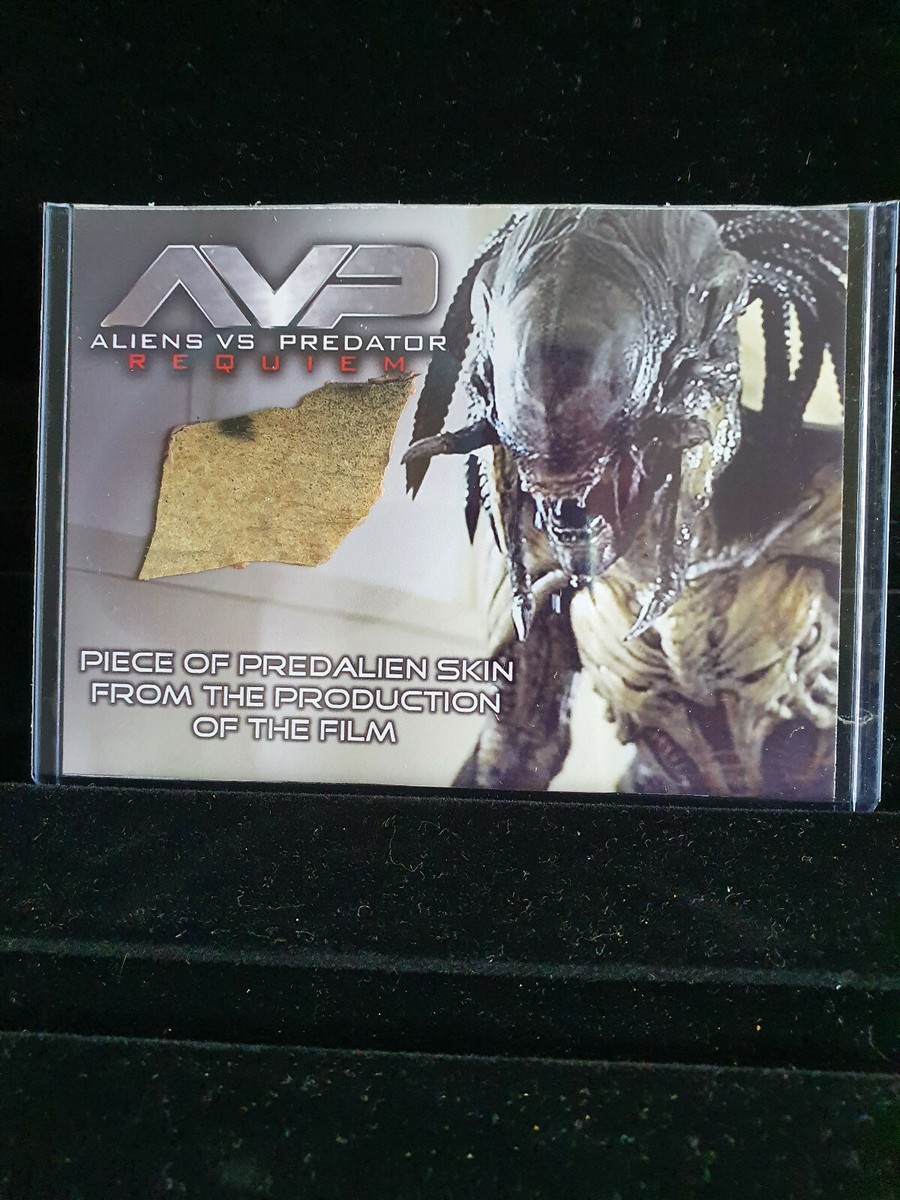 Poster Del Film Alien Vs Predator Requiem