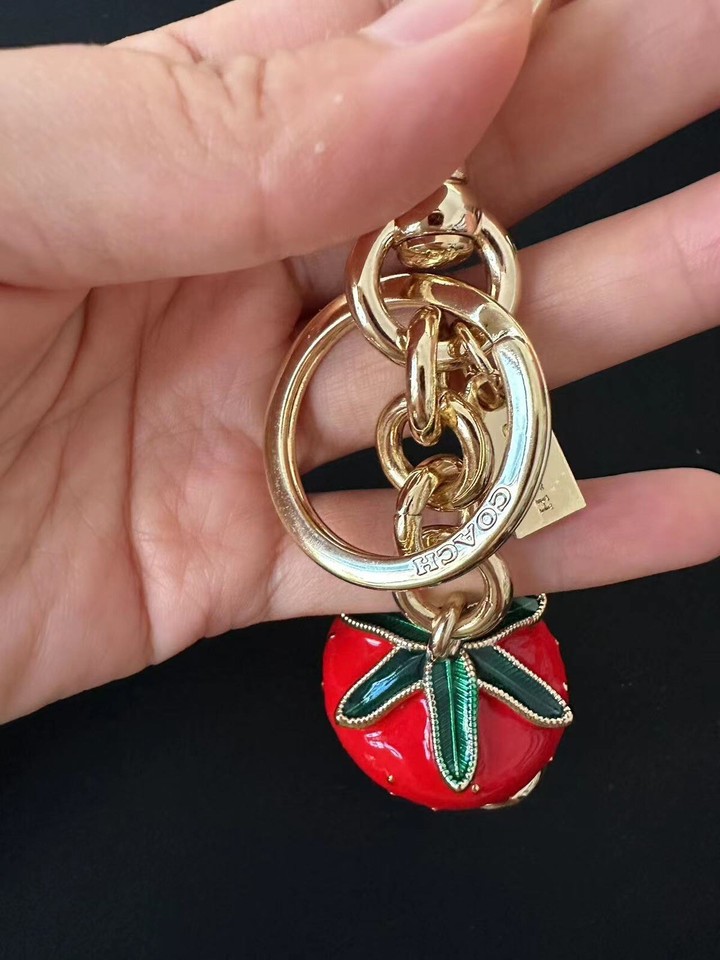 COACH Strawberry KeyChain Bag Charm Resin and Metal | eBay