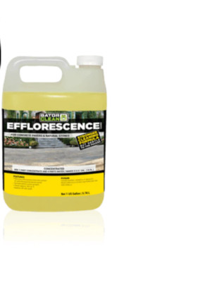 Alliance Gator Clean Efflorescence Cleaner for Pavers & Natural Stone 1 ...