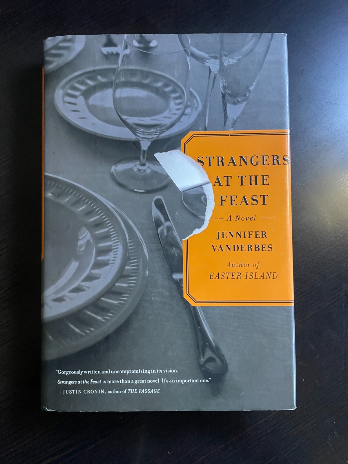 Strangers at the Feast by Jennifer Vanderbes (2010, Hardcover) for sale ...