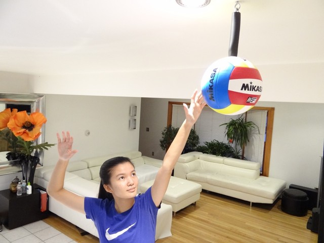 Mikasa D120 NVL Game Ball Replica Outdoor Volleyball Original for sale ...