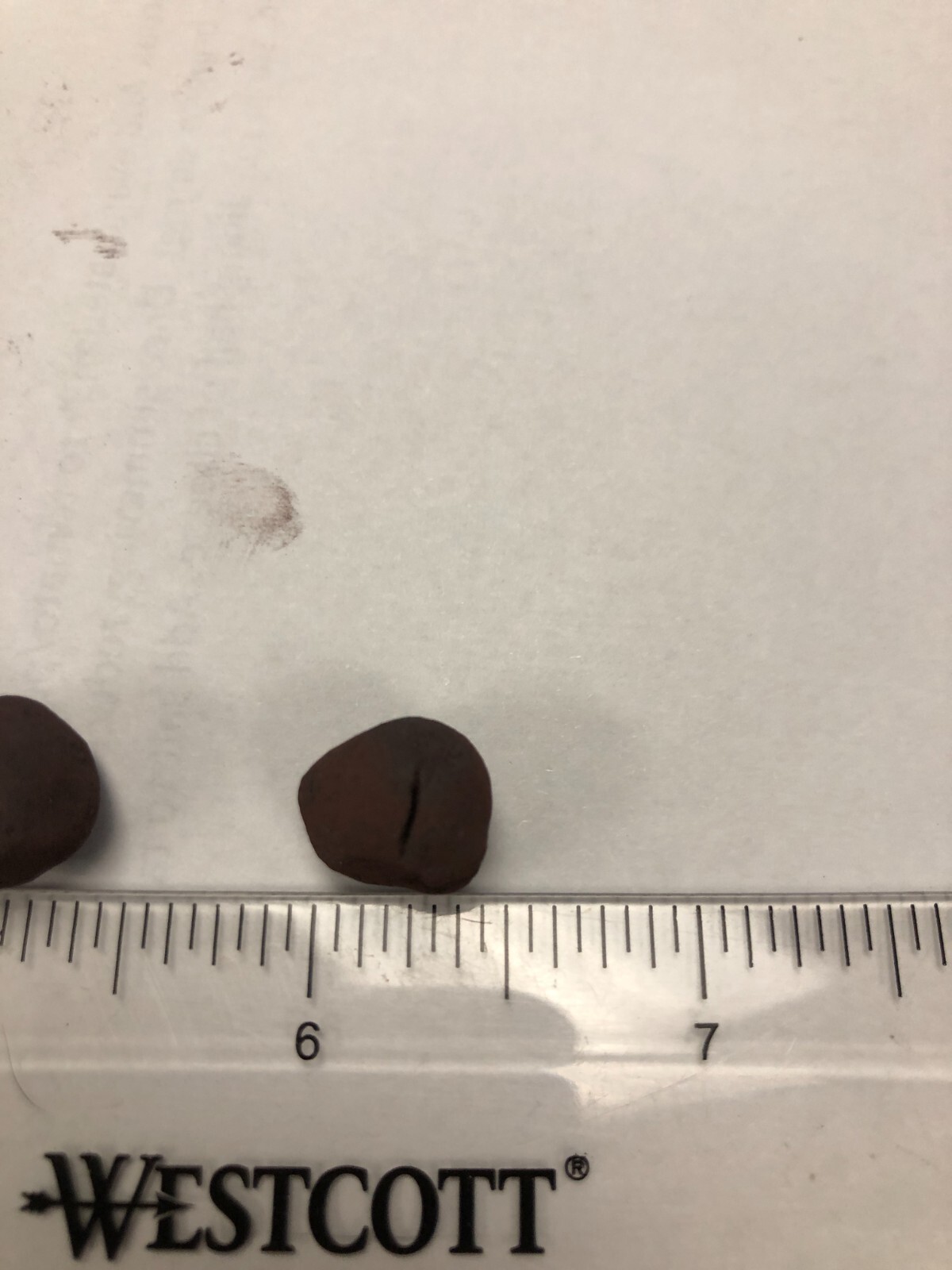 Taconite Iron Ore Pellets from Minnesota Iron Range - 5 Pounds | eBay