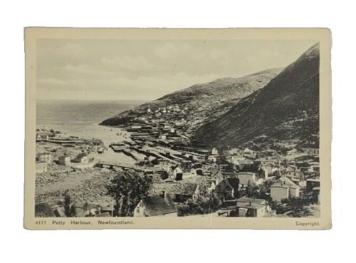 RPPC Petty Harbour Newfoundland Real Photo Postcard Aerial View | eBay