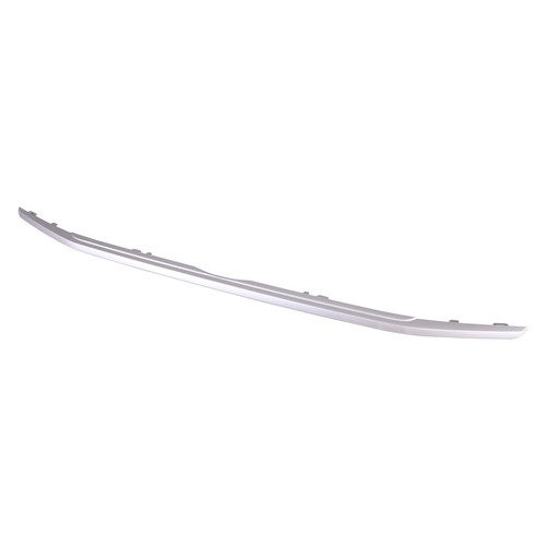 FO1216115C - Lower Grille Molding (CAPA) | eBay