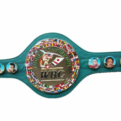 High Quality WBC Belt Adult Size Replica 8mm thickness plate | eBay