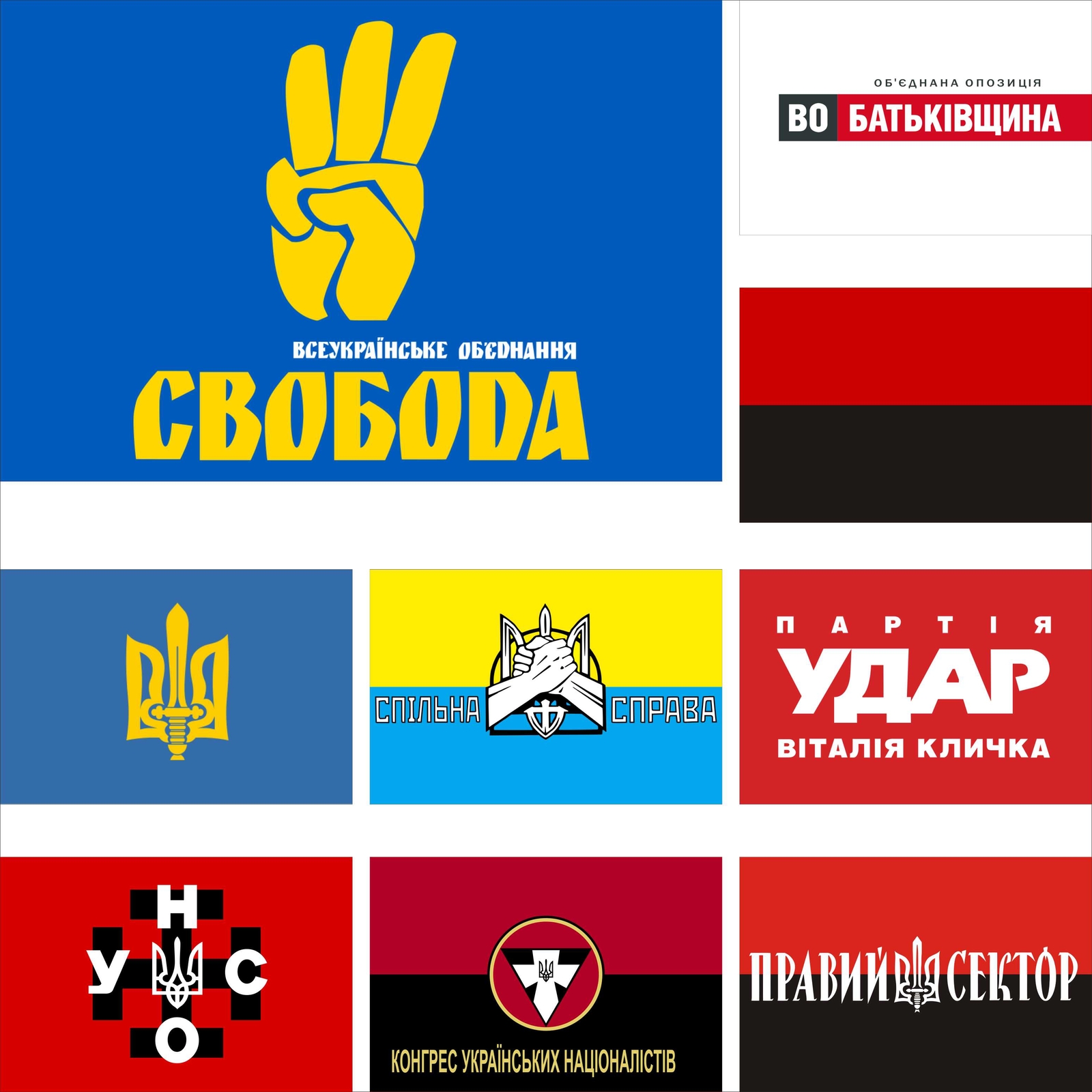 Ukraine Party Flag Batkivschina CUN National Corps UPA OUN-M Svoboda ...