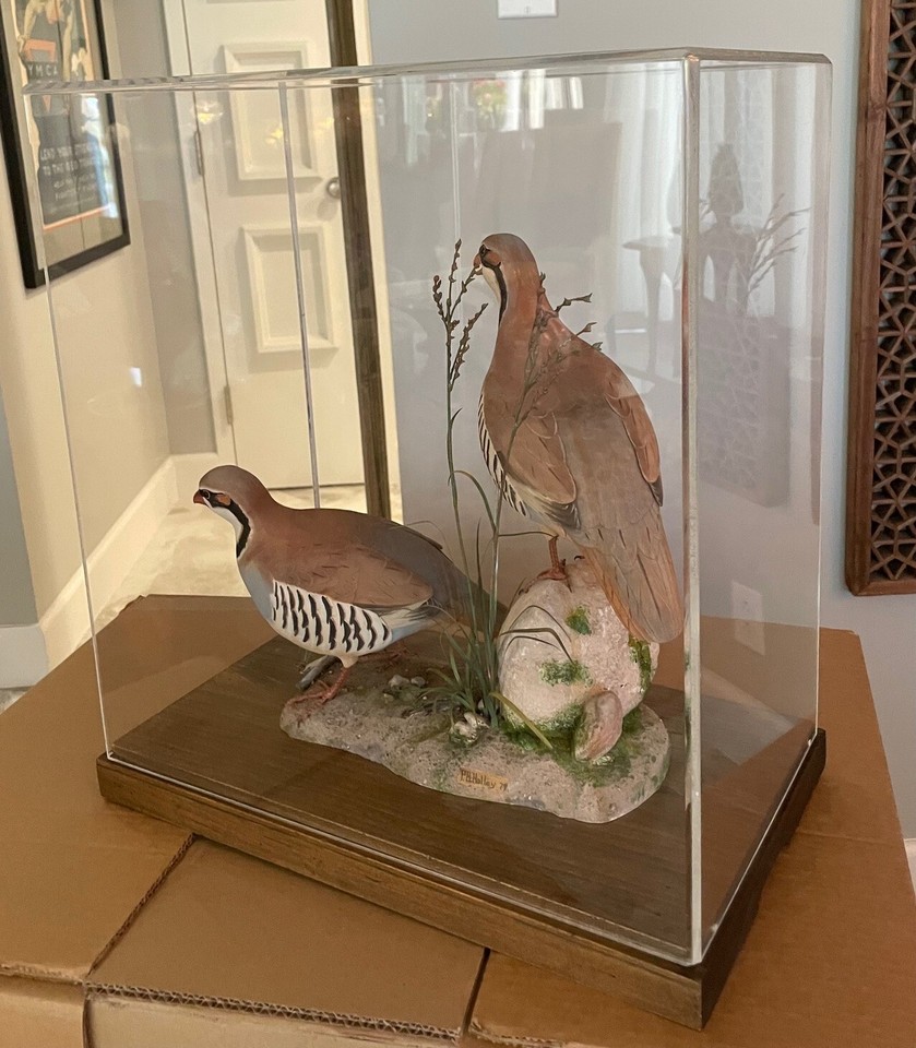 Signed Vintage Perry B PB Holley Hand Carved Wood Pair of Chukar Birds ...