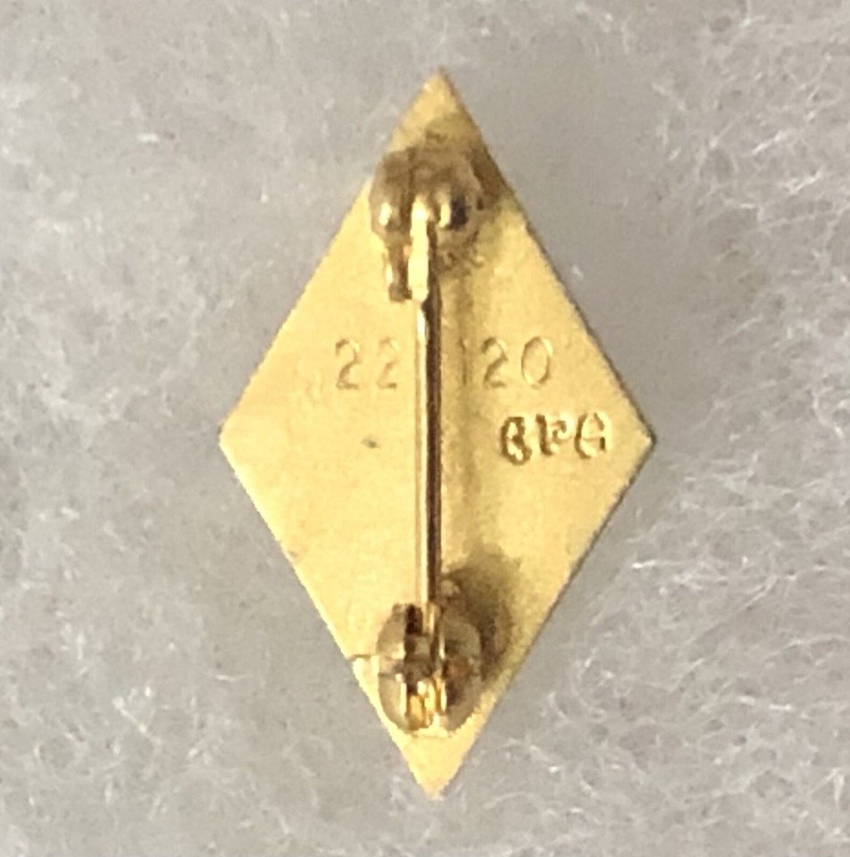 Vintage Sigma Alpha Epsilon Fraternity Pin Gold Pledge Lapel Pin | eBay