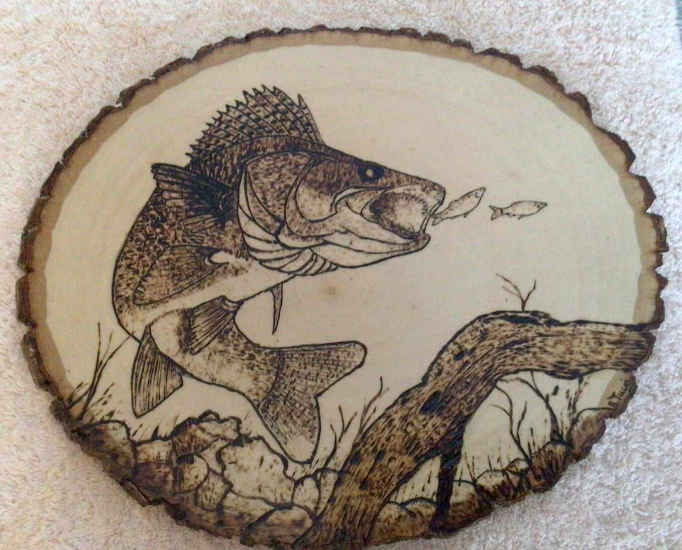 Basswood Walleye - wood burn art pyrography 13x11” solid live edge hand ...
