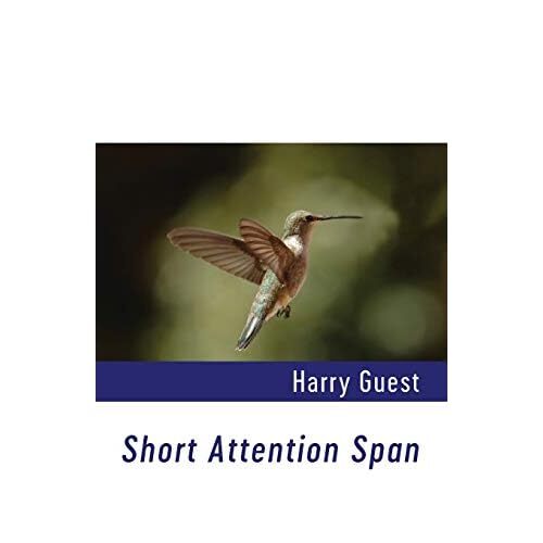 Short Attention Span by Harry Guest (Pamphlet, 2019) - Pamphlet NEW ...