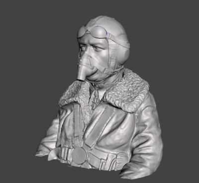 WWII Luftwaffe war pilot bust STL | eBay