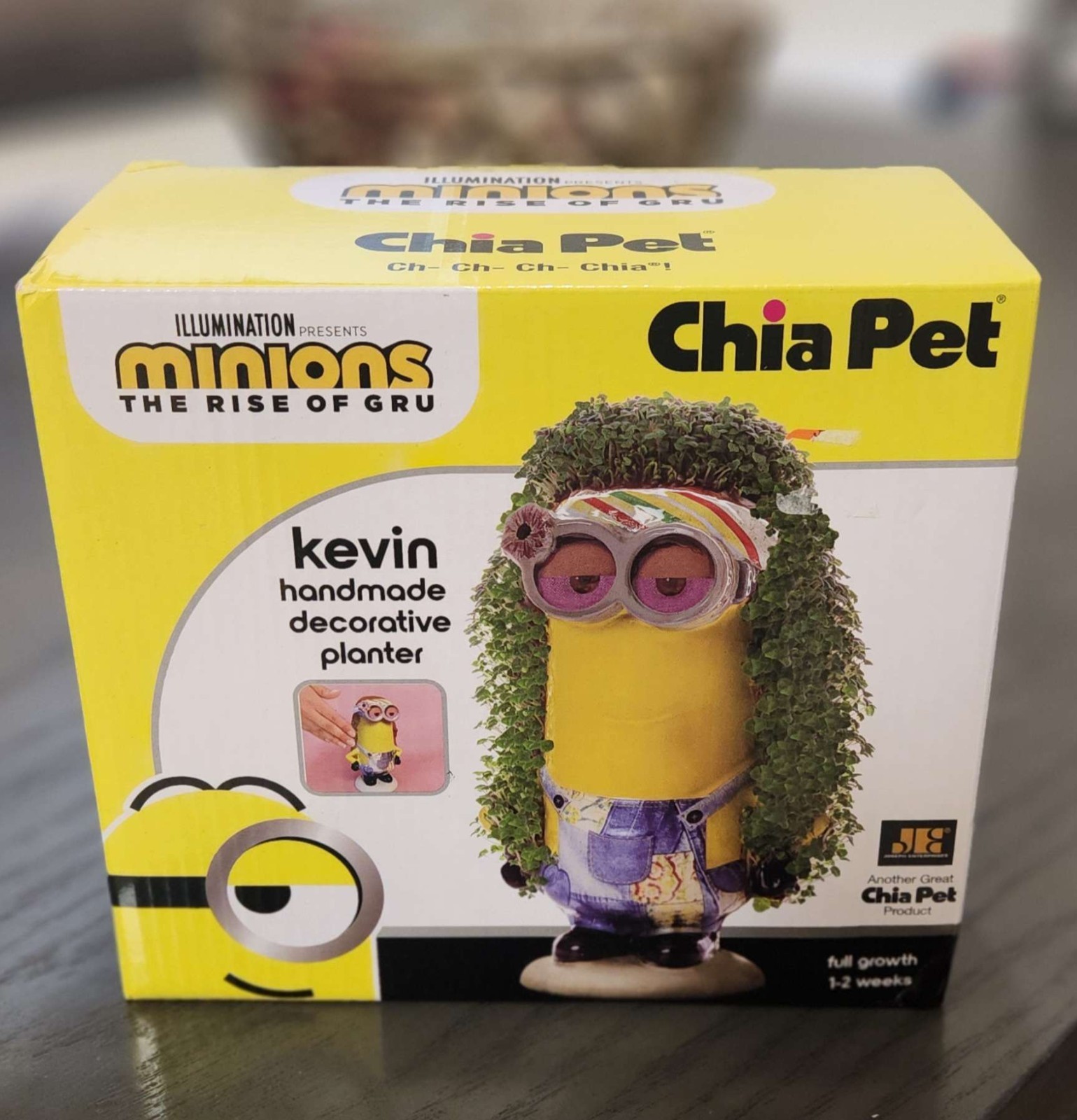 Chia Pet Planter - Minions The Rise of Gru - Kevin New In Box | eBay