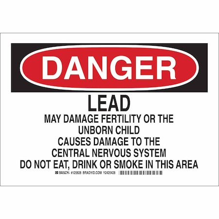 BRADY 125831 Danger Sign, 10 in H, 14 in W, Polyester, Rectangle ...