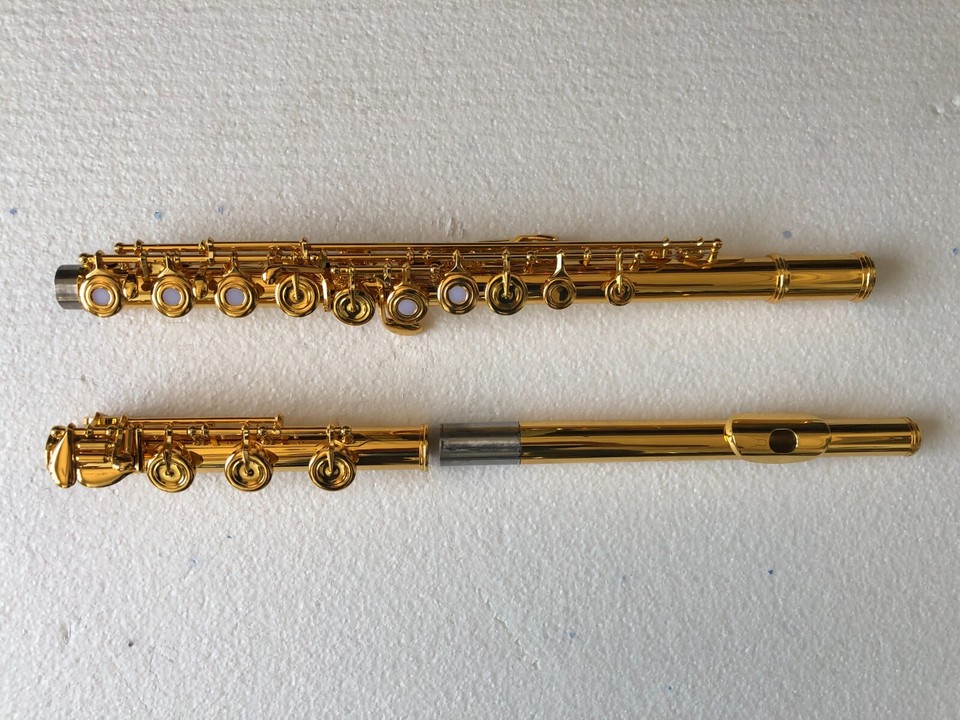 Professional 17 Open Hole 24k Gold Plated Flute E Key B Foot | eBay