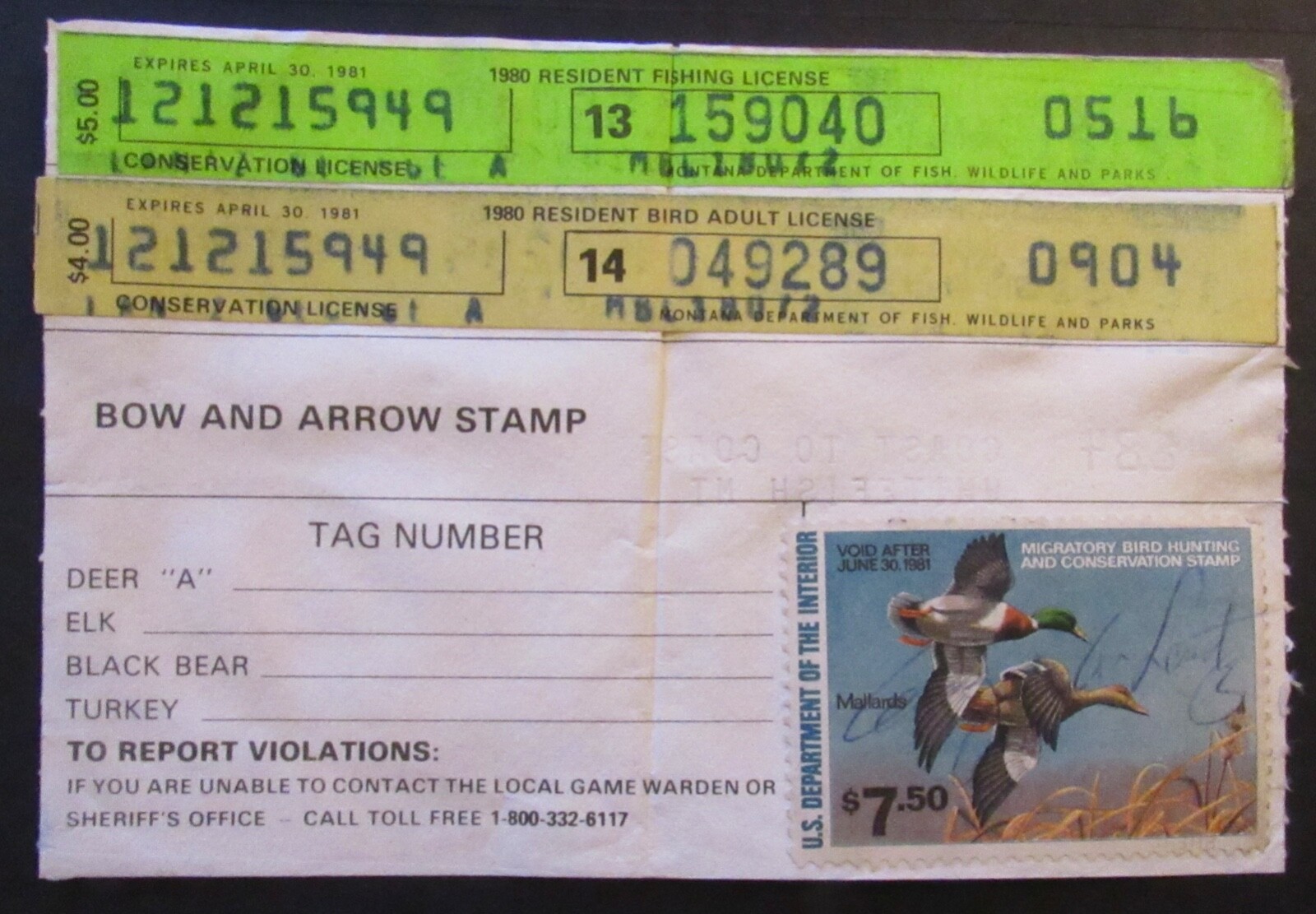 RW47 - 1980 Federal Duck Stamp on Montana Hunting License | eBay