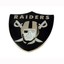 NFL Football Official Team Logo Lapel Pin Licensed Choose Your Favorite ...