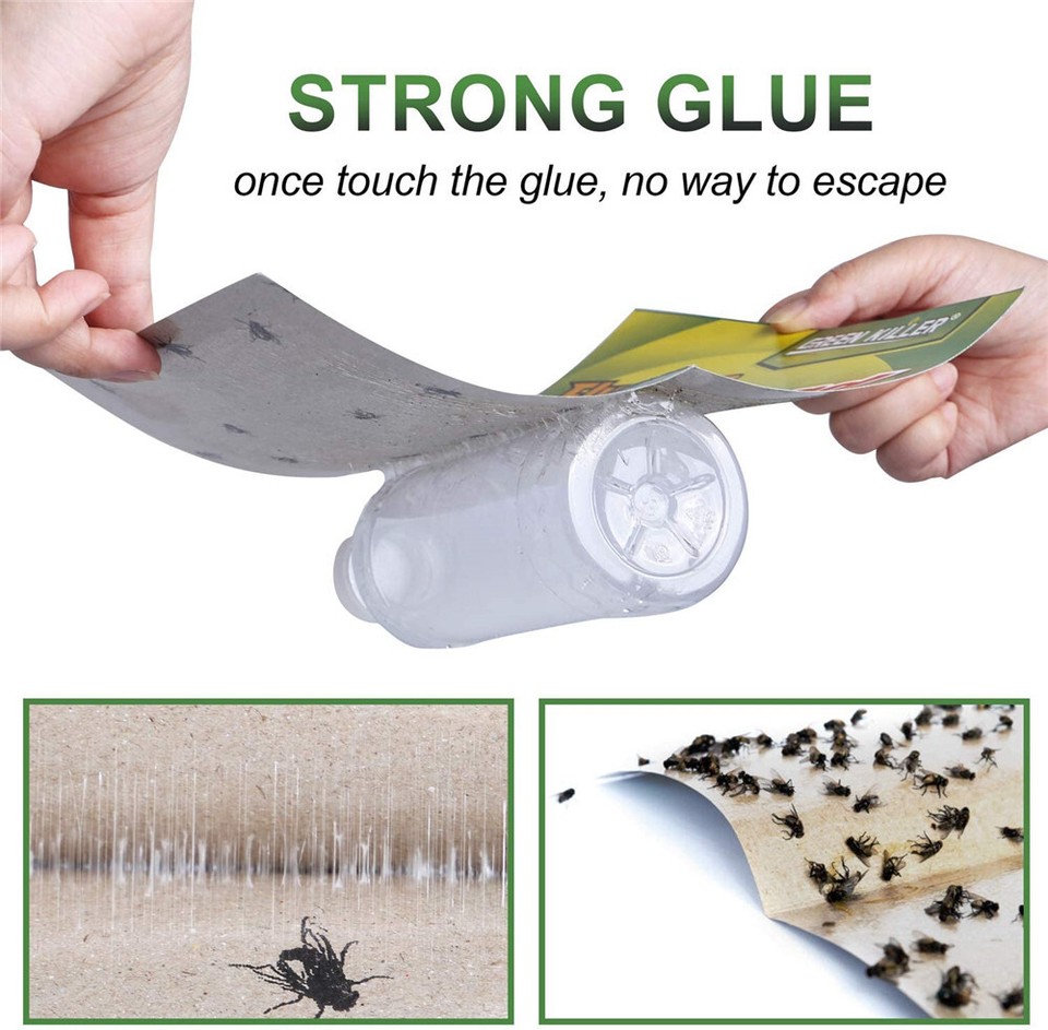 20 pcs Sticky Fruit Fly Traps Fungus Gnat Killer Trap Paper for Indoor ...