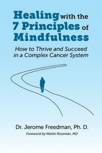 Healing with the Seven Principles of Mindfulness: How to Thrive and ...