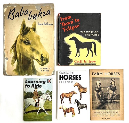 RARE VINTAGE HORSE BOOKS x 5 Illustrated (1939–1986) RIDING Breeds FARM ...