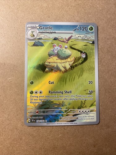 Grotle 164/162 Illustration Rare Pokémon TCG SV: Temporal Forces NM | eBay