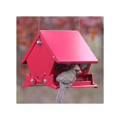 Absolute Squirrel Proof Bird Feeder
