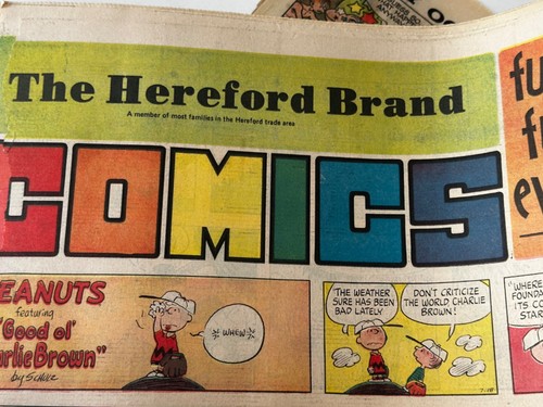 Lot of 200+ ALLEY OOP Dave Graue Sunday Newspaper Comic Strips 1976 ...