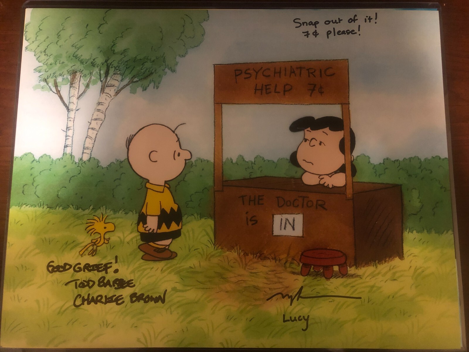 Todd Barbee & Melanie Kohn Signed Charlie Brown Lucy Peanuts ...