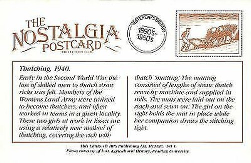 Nostalgia Postcard WW2 1940 Womens Land Army Thatching in Essex, Repro ...