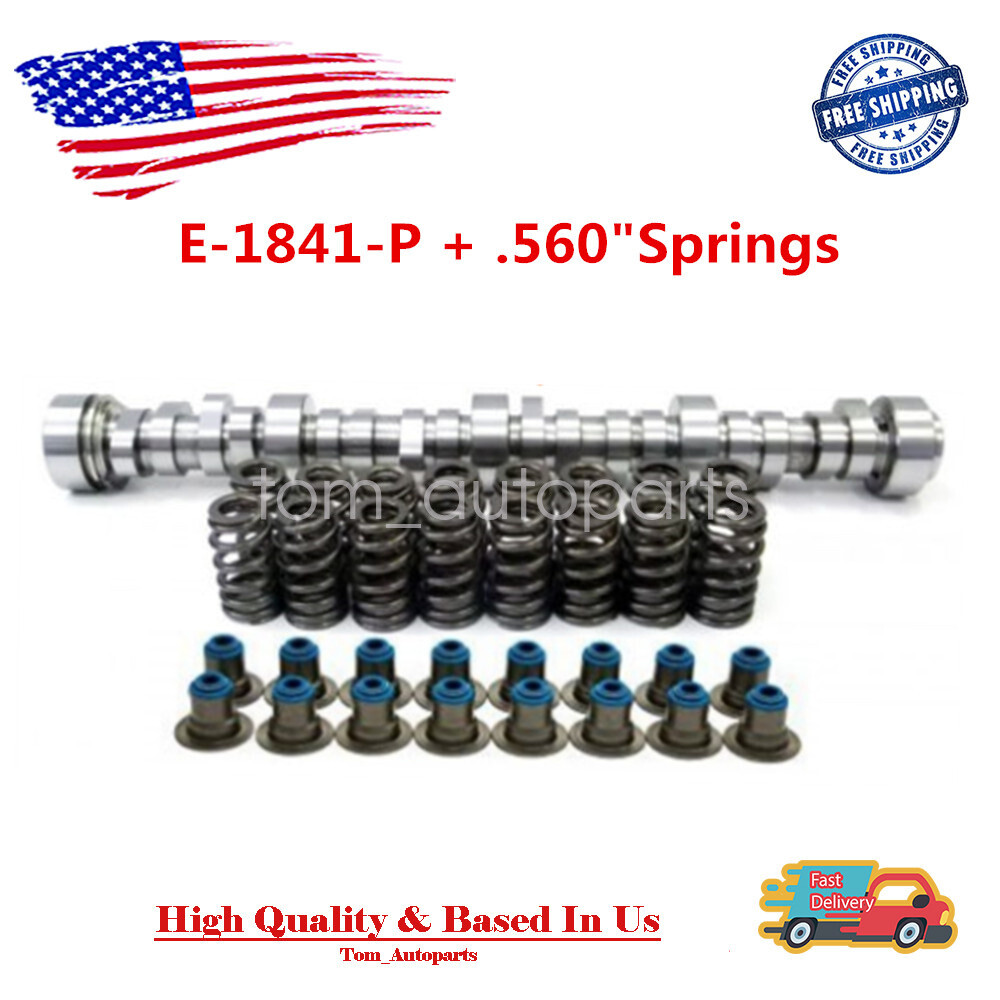 E-1841-P Sloppy Stage 3 Cam Springs Kit For Chevy LS LS1 .595" Lift 296 ...