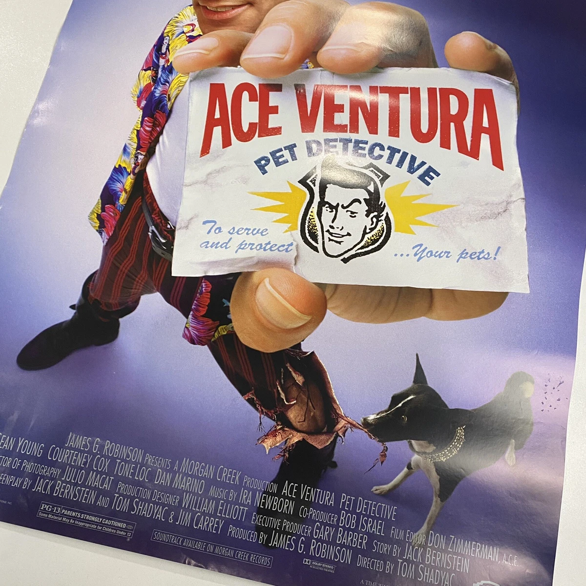 Ace Ventura Movie Poster