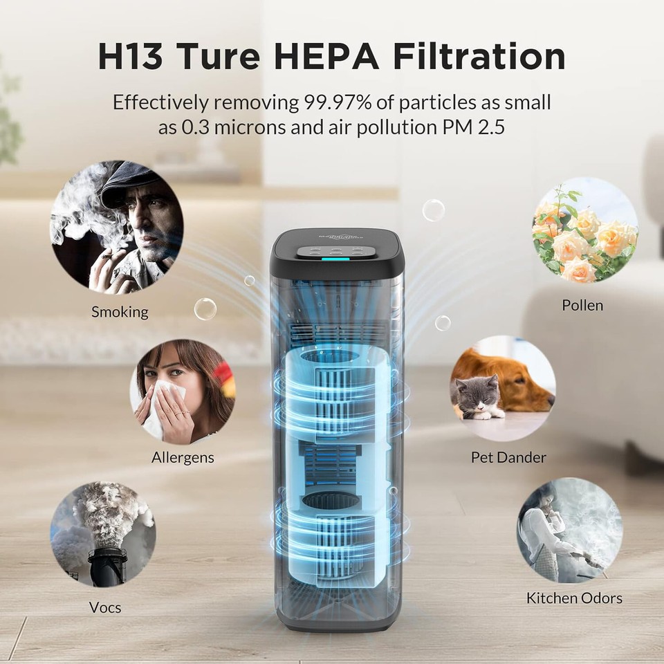 Large Room Air Purifier for Home Allergies Smog Pet Washable Filter Air ...