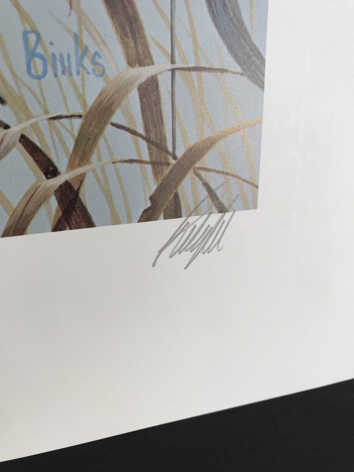 Green-Wing Squadron Poster Art Print Bob Binks Ducks Unlimited #’d ...