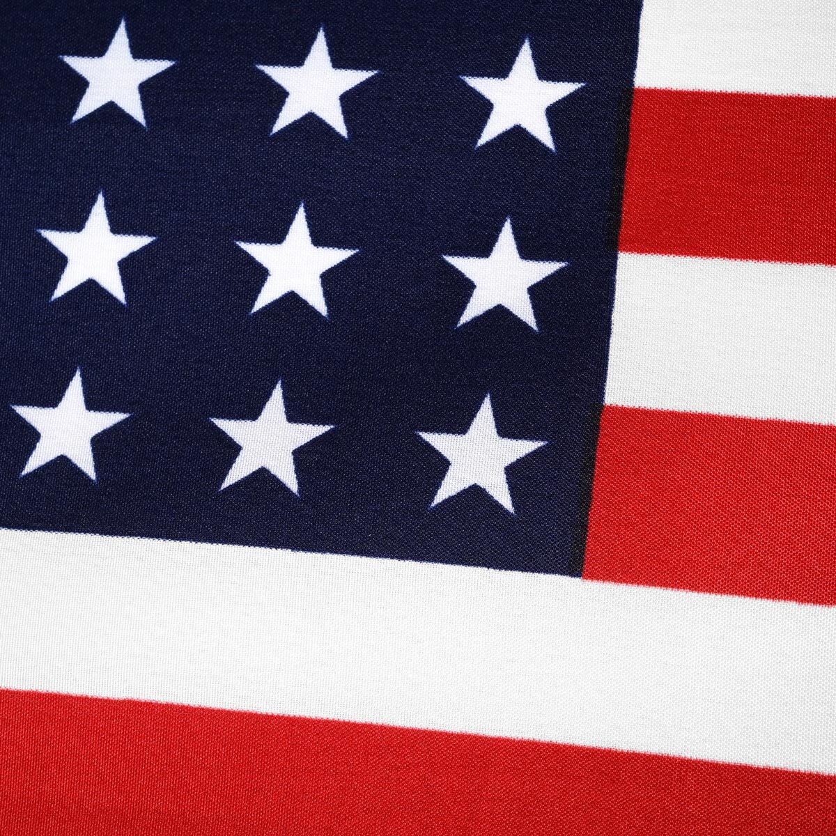 USA 48 star 12" x 18" Stick Flag | eBay