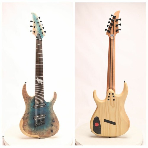 Electric Guitar 8 Strings Stain Finish Fanned Frets ASH Body Strings ...