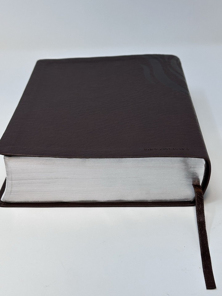 Fire Bible - New living Translation (NLT) Chi Alpha Edition Brown ...