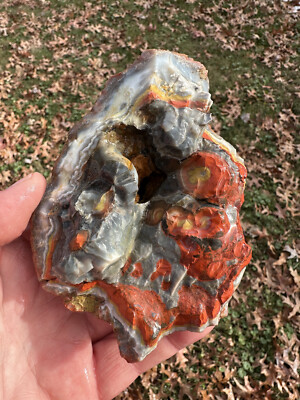 Large Natural Rare Kentucky Agate Rough from Estill County | eBay