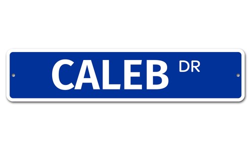 5503 SS Caleb 4" x 18" Novelty Street Sign Aluminum | eBay