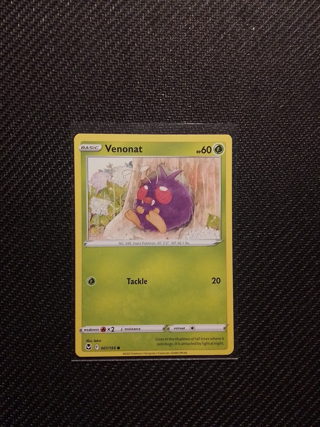 Venonat 001/195 - Silver Tempest - Common - Pokemon Card TCG - LP | eBay