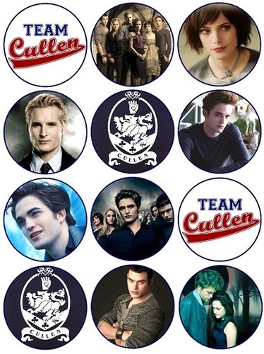 24 Team Edward Cullen Twilight Fairy Cake Toppers Edible Party ...