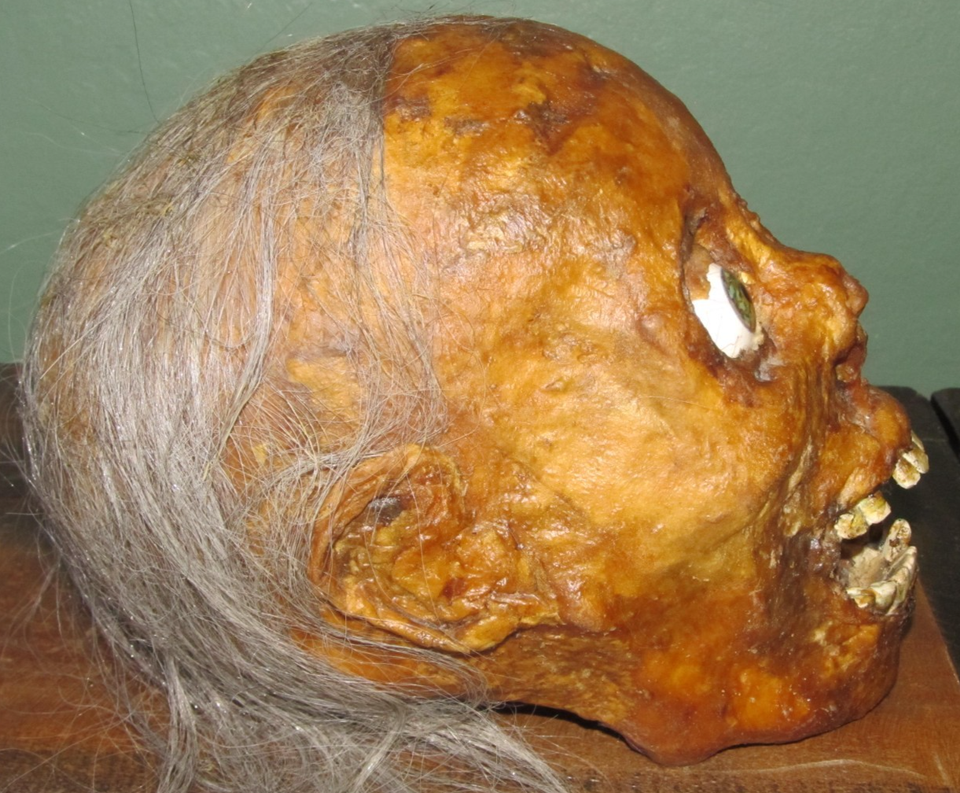 REALISTIC HORROR MUMMIFIED HALLOWEEN PROP SIDESHOW GAFF ROT SKULL SCARY ...