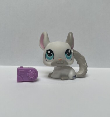 Hasbro LPS Littlest Pet Shop #1401 Chinchilla With Camera AUTHENTIC ...