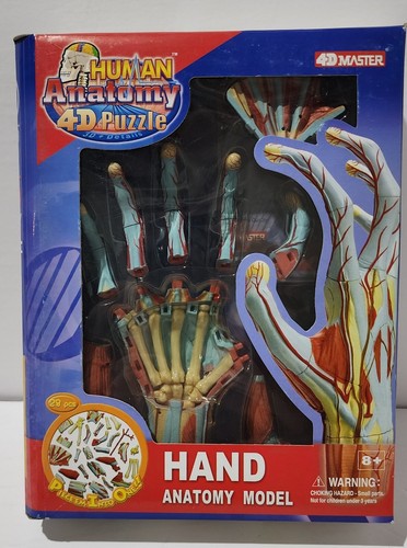 4D Master Puzzle Human Anatomy Hand Model 28 Pcs 8+ 2006 NEW SEALED ...