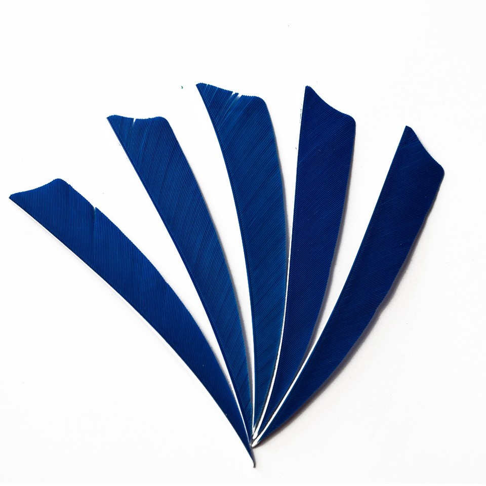 50pcs 4" Right Wing Turkey Feathers DIY Arrows Archery Hunting Shooting ...